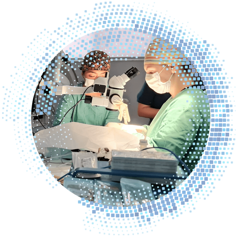 Microass – Microass